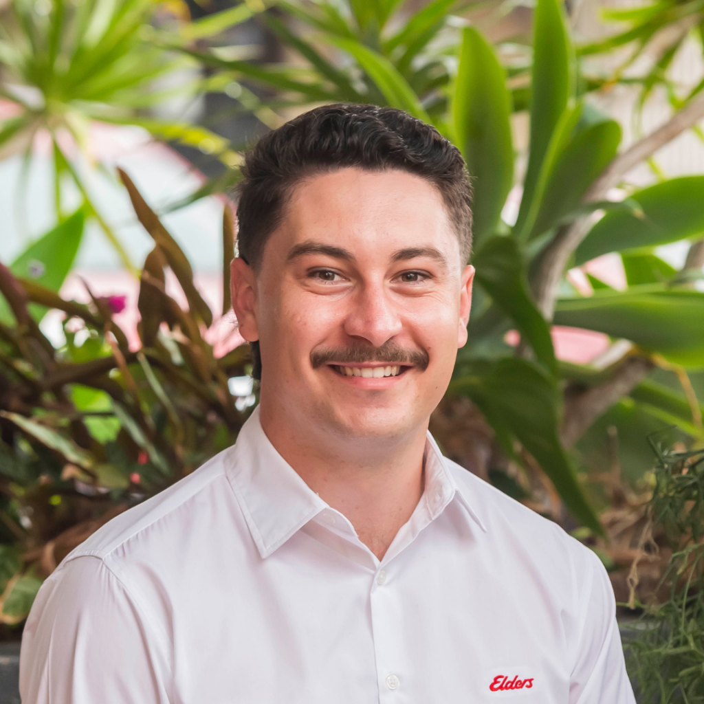 Elders Real Estate Alstonville | Your Local Real Estate Experts